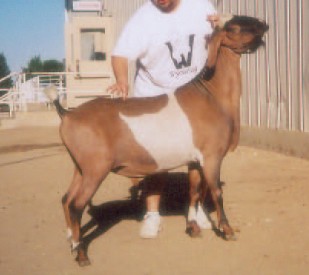 Willow Run Eros Emmanuel